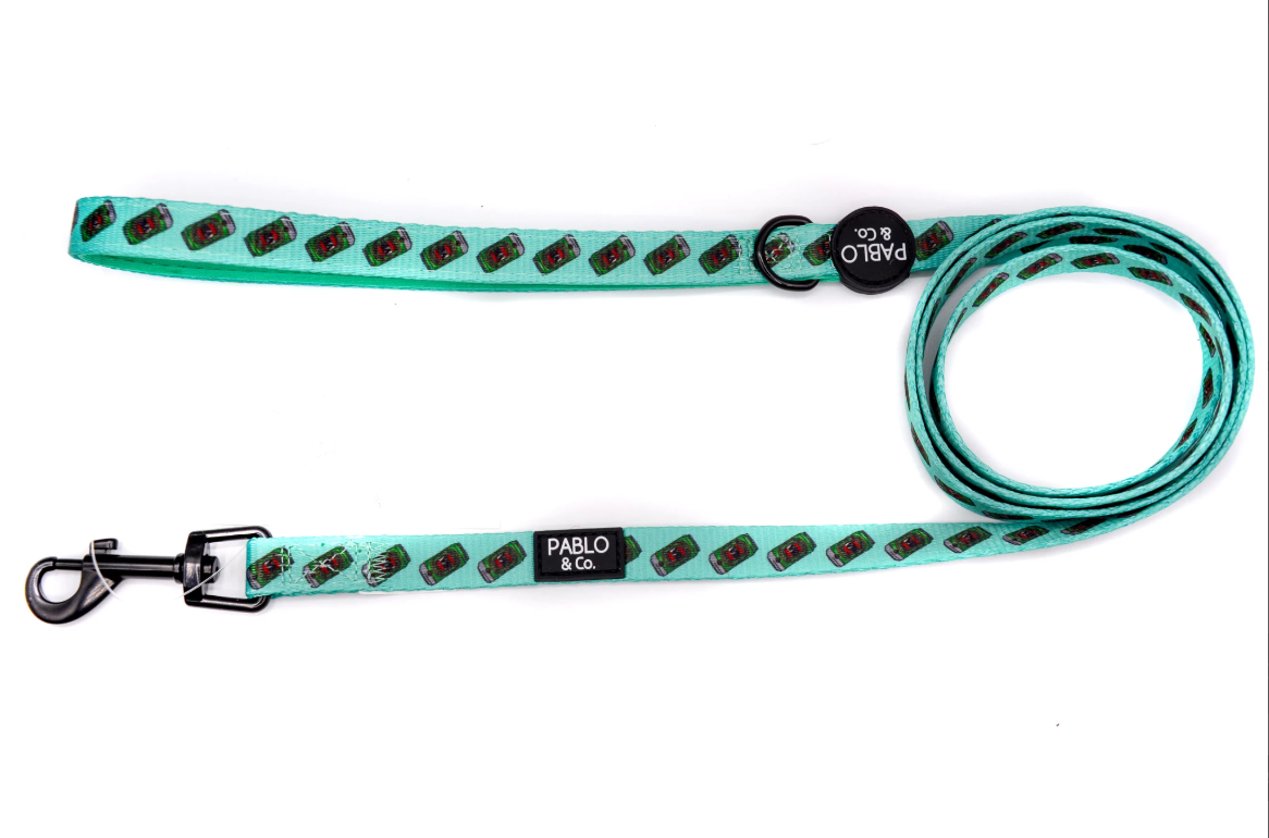 The VB: Dog Leash – Woof of Paw Street